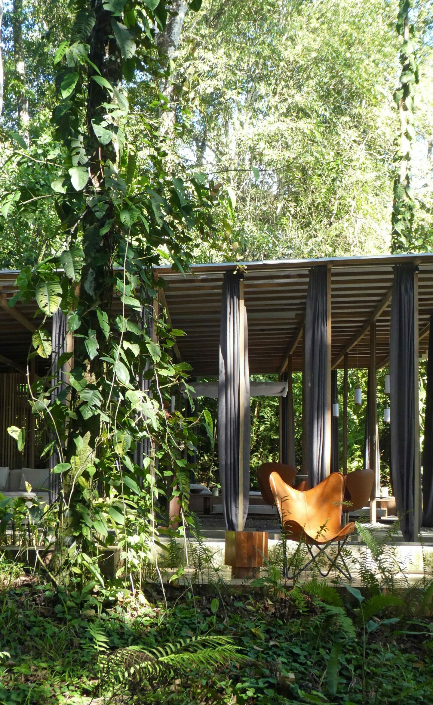 Open house in the jungle - Global Spaces